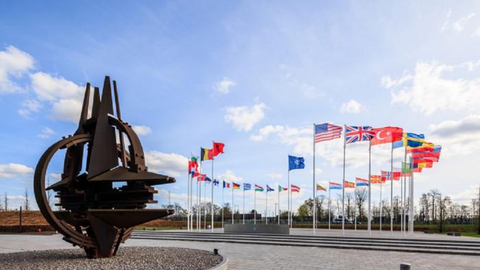 Daftar Negara Anggota NATO 2024, Sejarah, Peran, dan Peluang Ukraina ...