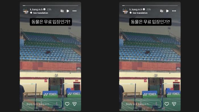 Kejadian Tak Biasa di India Open 2026: Monyet Ikut Nonton Langsung ...