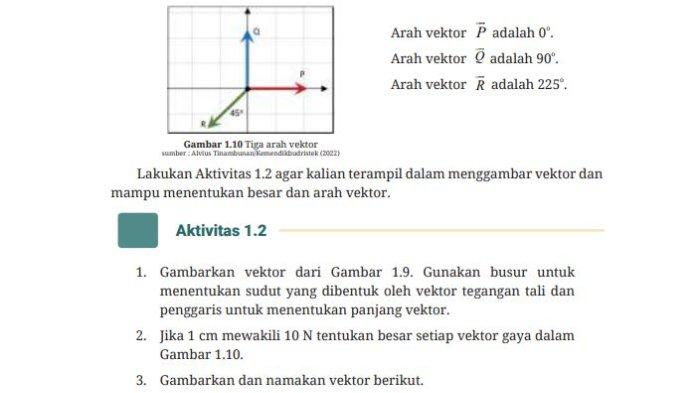Kunci Jawaban Fisika Kelas 11 Halaman 7 Kurikulum Merdeka, Aktivitas 1.2 Bab Vektor - TribunNews.com