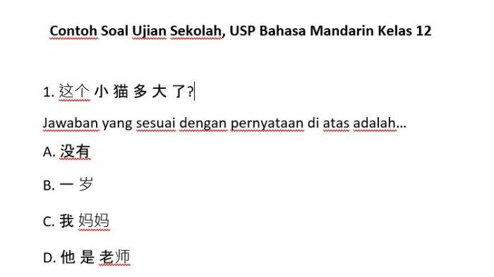 Contoh Soal Ujian Sekolah, USP Bahasa Mandarin Kelas 12 dengan Kunci Jawaban - TribunNews.com