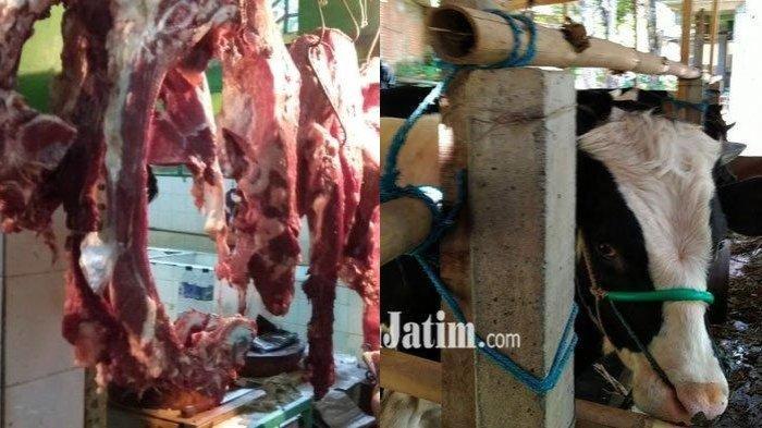 5 Fakta Isu Daging Bangkai Sapi Dijual di Tulungagung, Diduga Diracun ...