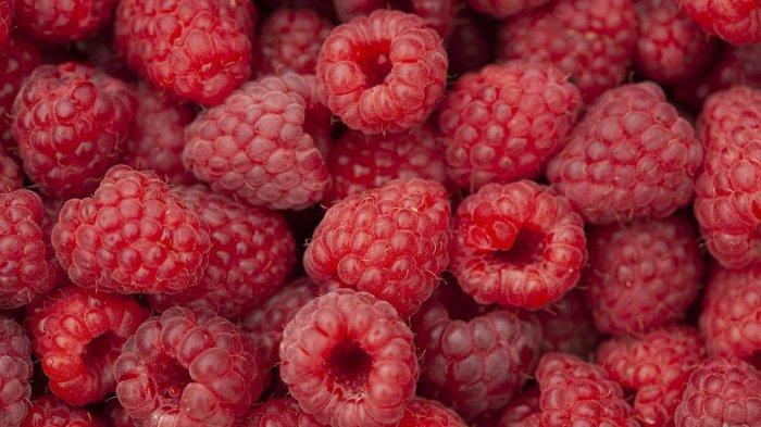 Manfaat Buah Raspberry untuk Kesehatan: Dapat Kurangi Tanda-tanda ...