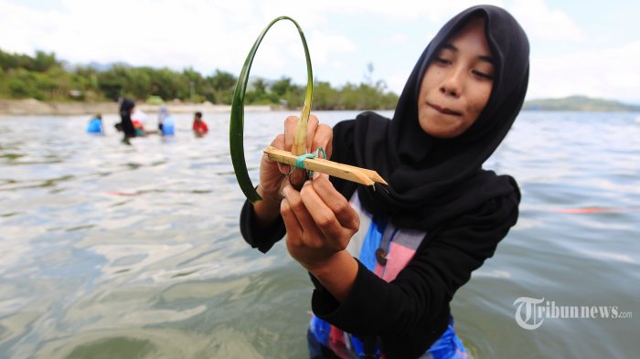 Prospek Kerja Jurusan Ilmu Kelautan: Ahli Biologi Kelautan, Ahli Ekologi hingga Peneliti ...