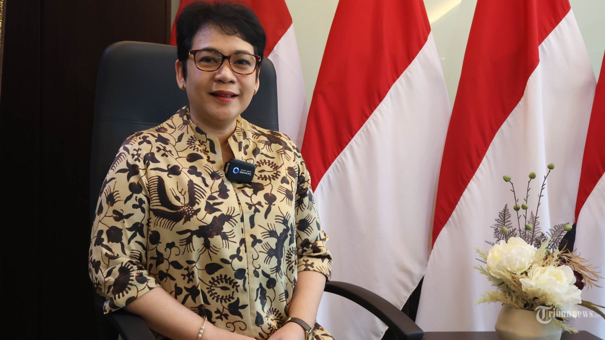 Profil Sarah Sadiqa, Kepala LKPP yang Baru Pengganti Hendrar Prihadi ...