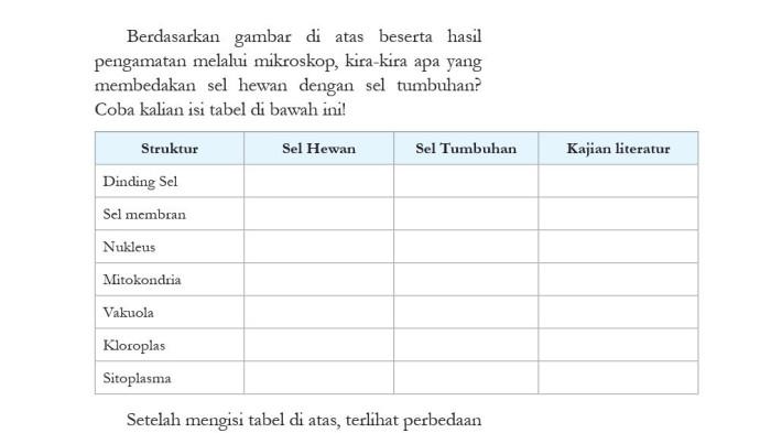 Kunci Jawaban IPA Kelas 8 Halaman 13: Tabel Perbedaan Sel Hewan dan Sel ...