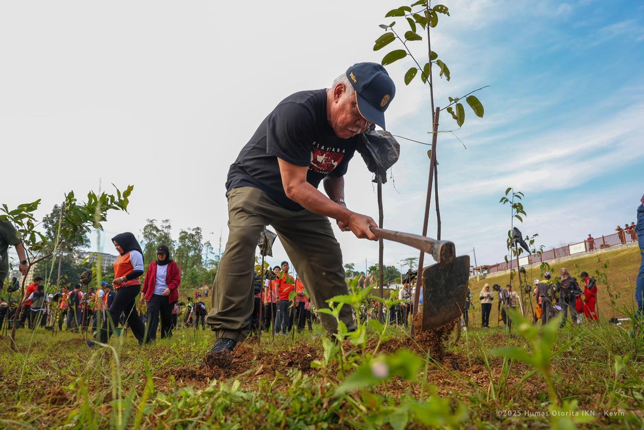 Insan Otorita IKN Tanam 700 Pohon di DAS Sanggai, Dorong Ibu Kota Nusantara Jadi Forest City ...