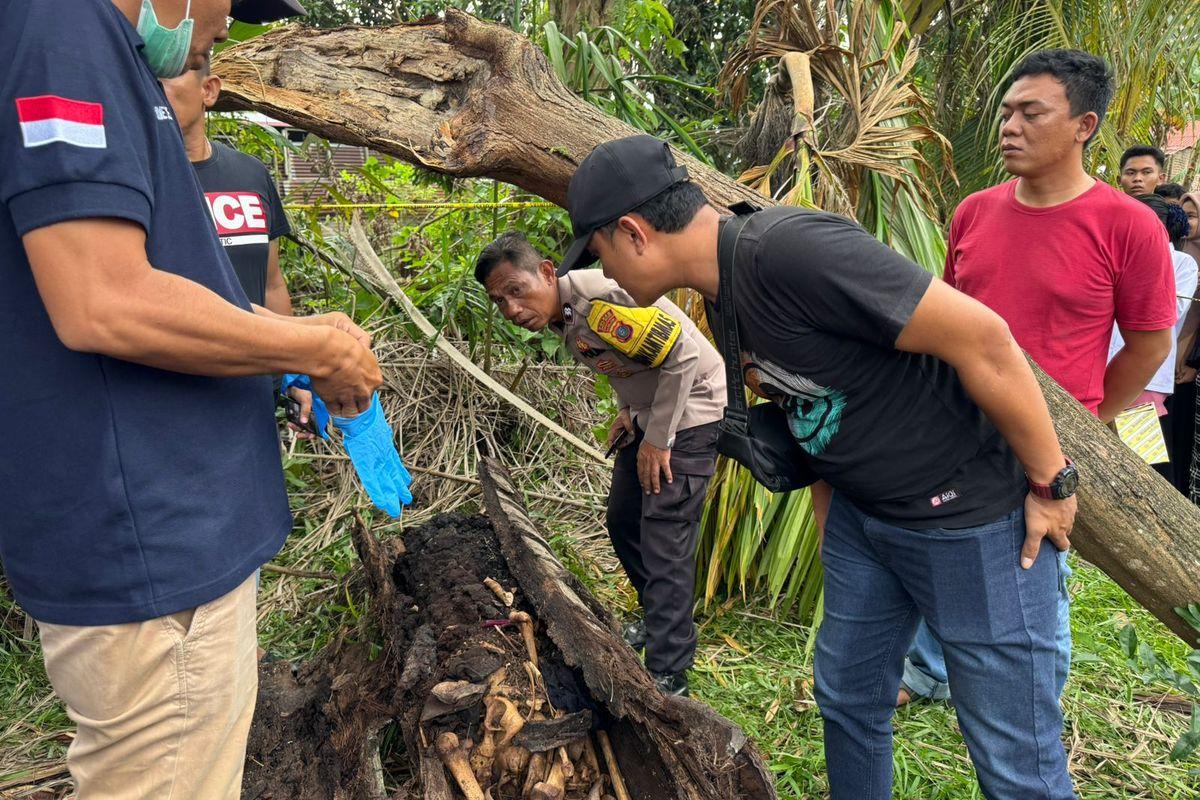 Kerangka Manusia di Dalam Pohon Aren di Sumut Diduga Pemuda yang Pamit ...
