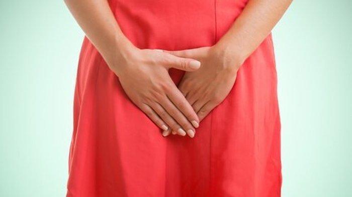 Bunga Sidowayah hingga Kayu Rapet, Resep Herbal Warisan Leluhur untuk ...