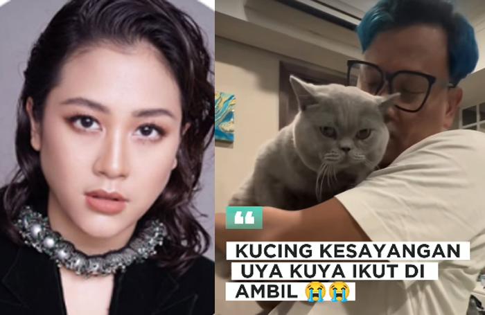Sherina Munaf Akan Dipanggil Polisi untuk Klarifikasi Penemuan Kucing ...