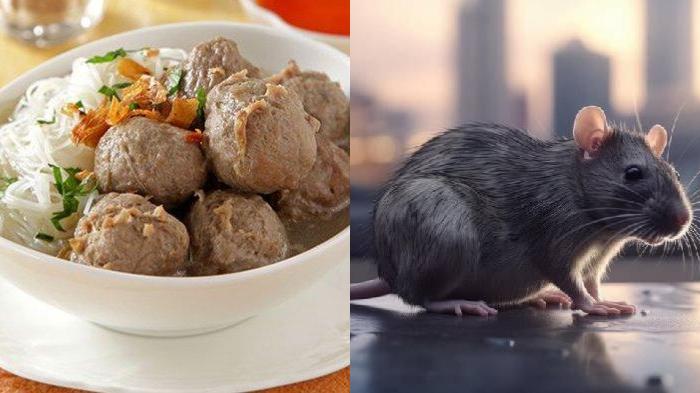 Sosok Pemilik Warung Bakso di Palangka Raya yang Viral Ada Kepala Tikus di Mangkok, Kini ...
