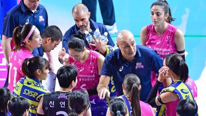 Hasil Klasemen Liga Voli Korea: Pink Spiders Kalah 3 Kali Beruntun ...
