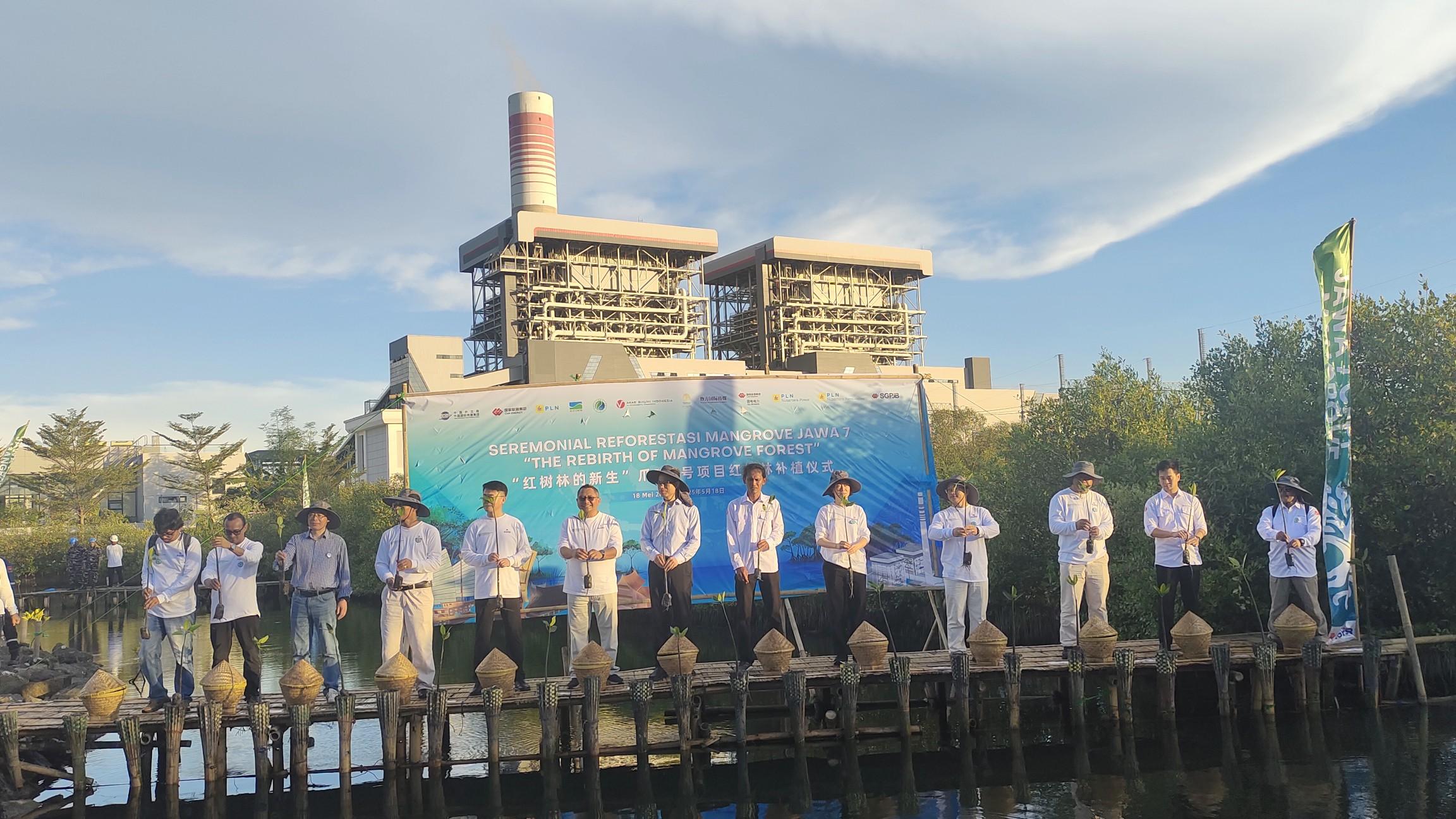 PLTU Jawa 7 di Serang Banten Perluas Kawasan Mangrove Jadi 19 Hektare - TribunNews.com