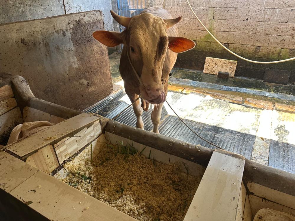 Olah Limbah Tempe, Warga di Kampung Sanan Kota Malang Daur Ulang Jadi ...