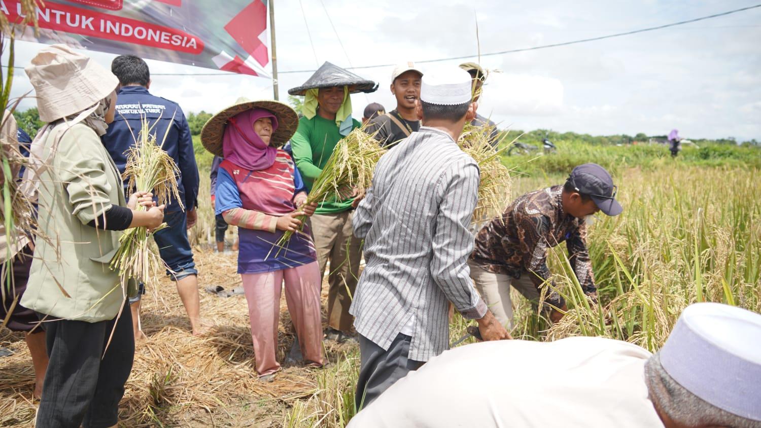 Kementerian Pertanian Dorong Penguatan Kelembagaan Petani Lewat ...