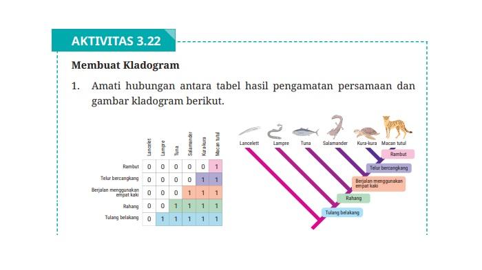 Kunci Jawaban Biologi Kelas 12 Halaman 165 Kurikulum Merdeka, Membuat ...