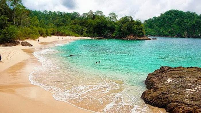 Teluk Hijau Meru Betiri: Keindahan Alam Indonesia dalam Satu Destinasi ...