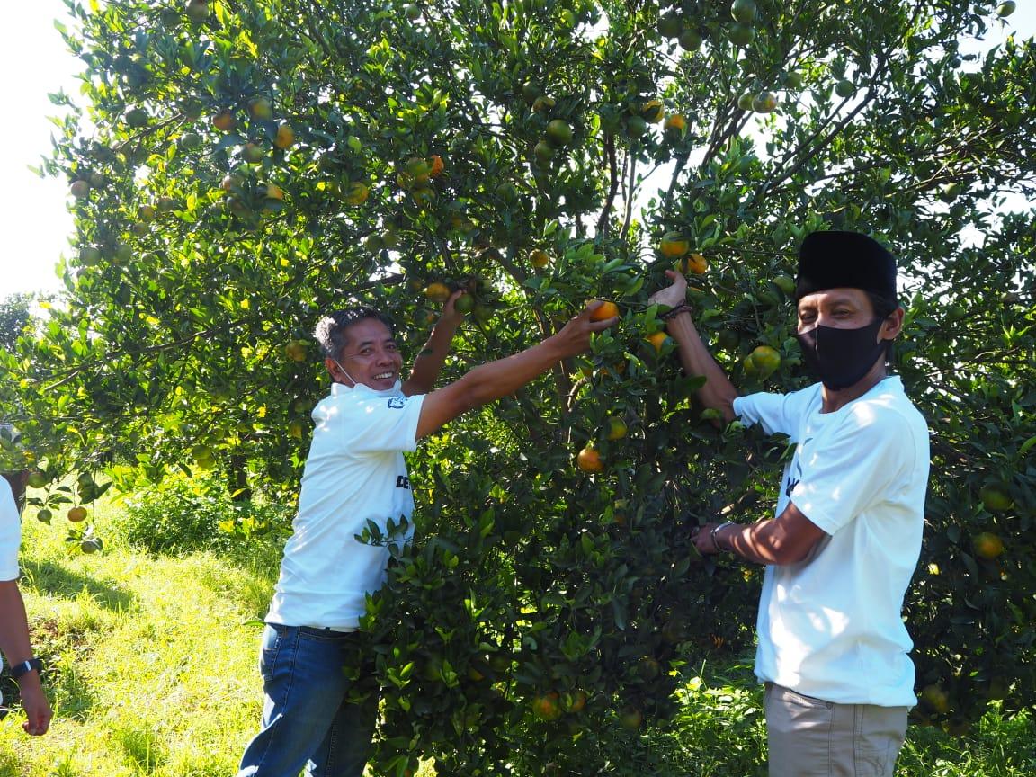 Wamendes Nilai Peran Desa Sangat Penting Sebagai Penghasil Pangan di ...