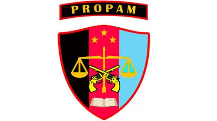 Divisi Profesi dan Pengamanan (Div Propam) - TribunnewsWiki.com