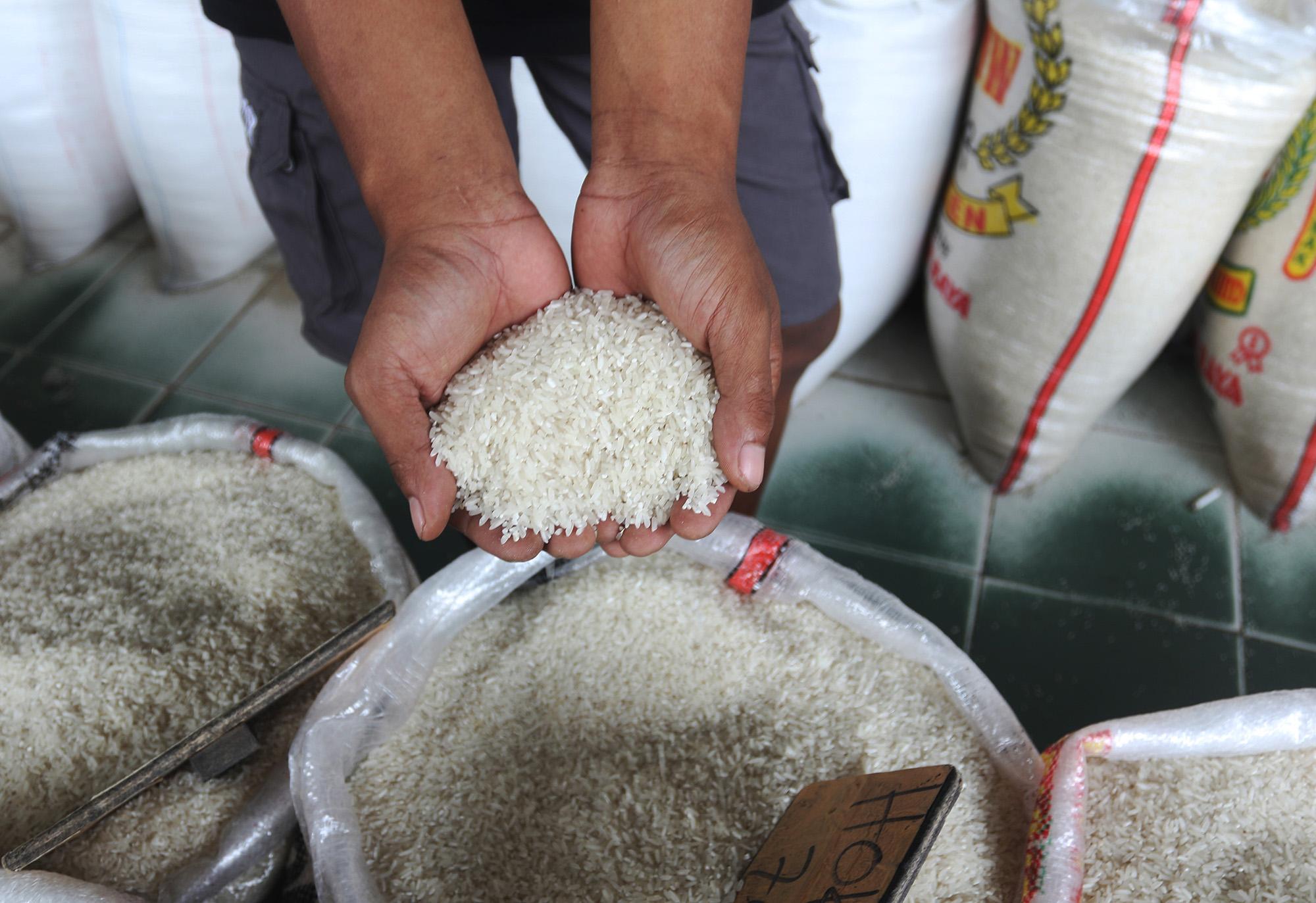 Cara Mengenali Beras Hasil Oplosan, Ini Penjelasan Pakar Teknologi ...