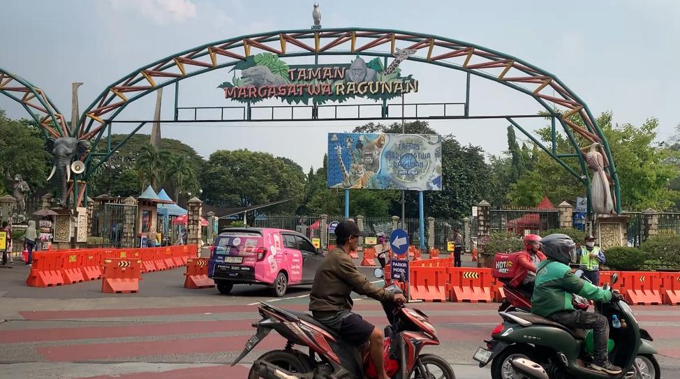 Taman Margasatwa Ragunan Buka Malam Hari Setiap Akhir Pekan, Ada ...